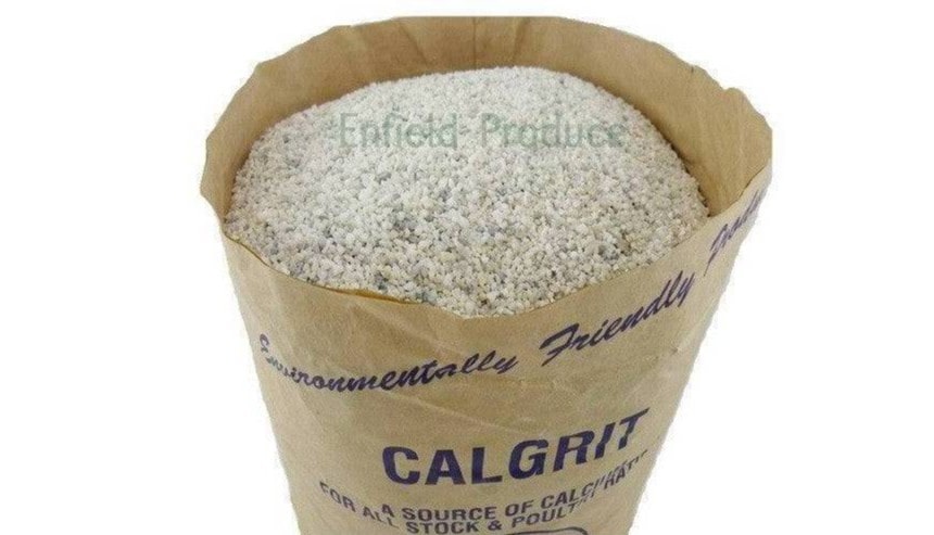 Guide to Selecting Calcium Supplements for Chickens.