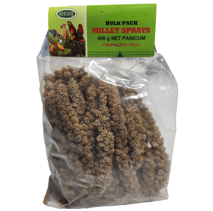 Millet Spray - Enfield Produce
