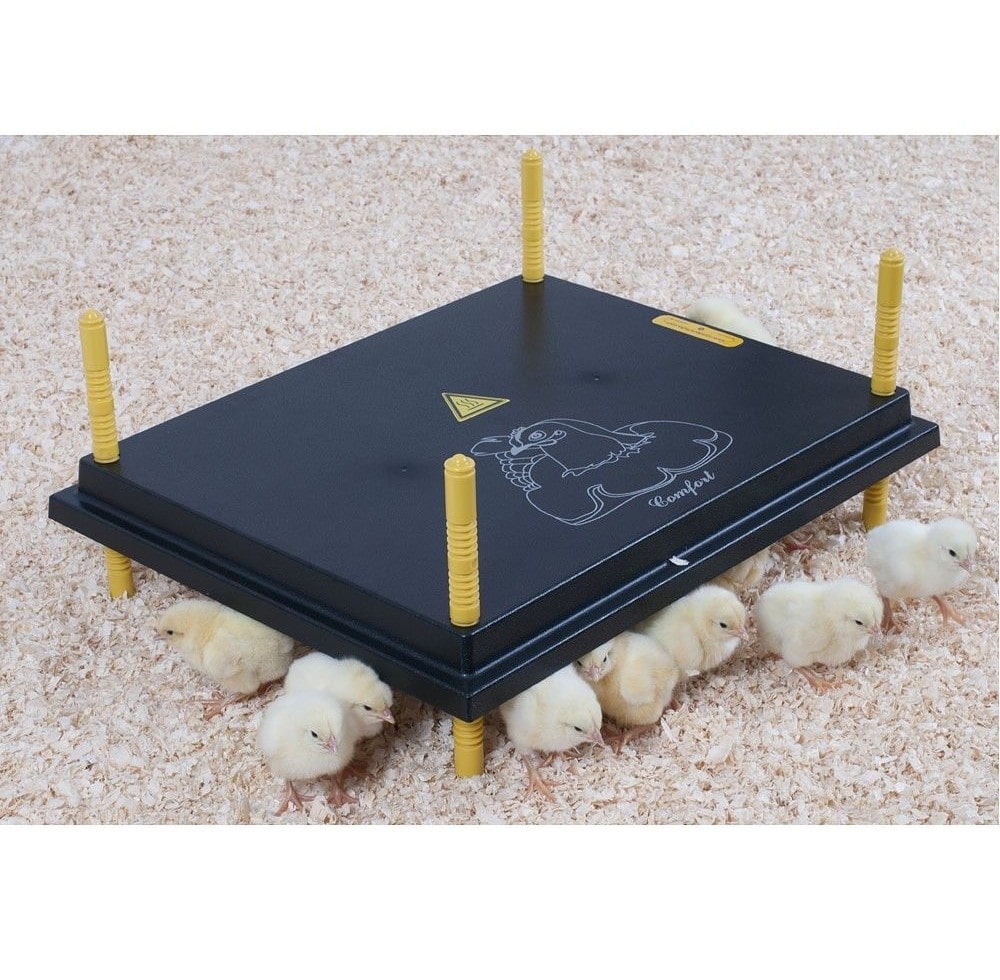 Comfort Chick Heating Plate (Brooder) - Enfield Produce