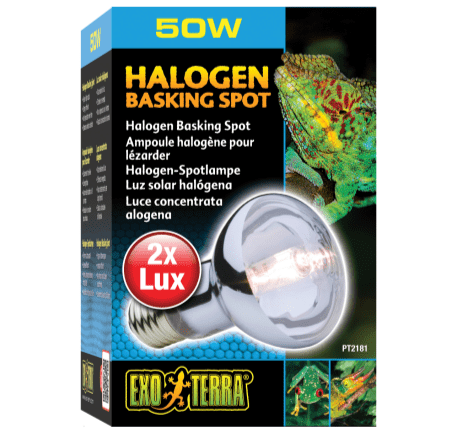 Exo Terra Halogen Basking Spot Lamp - Enfield Produce
