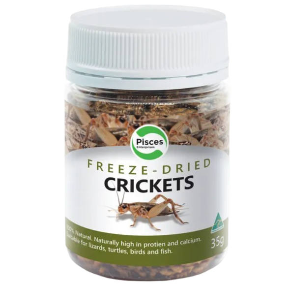 Freeze-Dried Crickets 35G Jar | Pisces - Enfield Produce