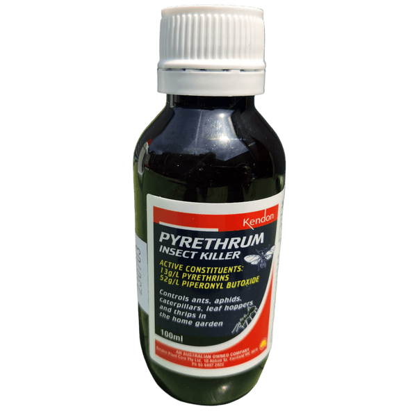 Kendon Pyrethrum Insect Killer Concentrate | TRIPLE STRENGTH - Enfield ...