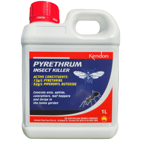 Kendon Pyrethrum Insect Killer Concentrate | TRIPLE STRENGTH - Enfield ...