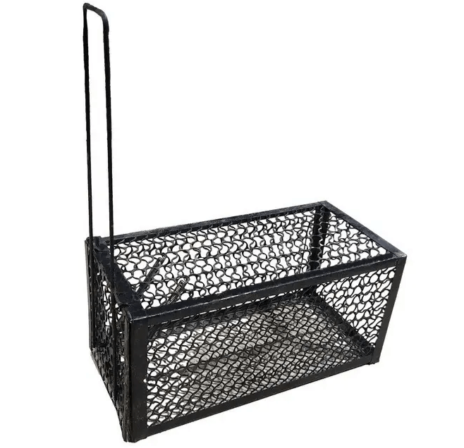 Humane Live Catch Rat Trap BLACK (EP) - Enfield Produce