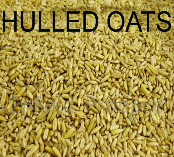 Hulled Oats Bird Seed - Avigrain - Enfield Produce