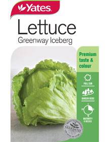 Yates Lettuce Seeds - Select Variety (Autumn Lines) - Enfield Produce