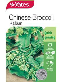 Yates Chinese Broccoli Seeds – Kailaan (Autumn Lines) - Enfield Produce