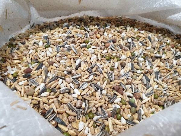 Sprouting Seed Mix for Birds (EP) - Enfield Produce
