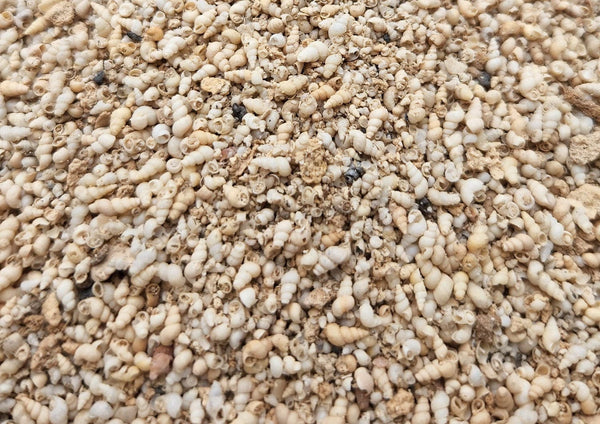 Canunda Shell Grit - Enfield Produce