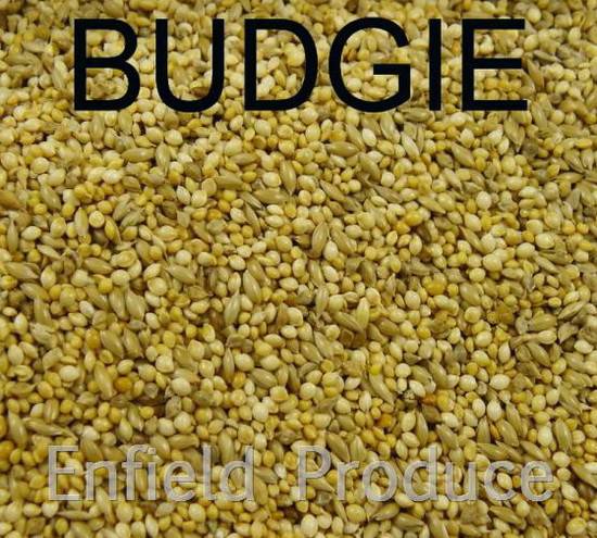 Avigrain Budgie Green Bird Seed Mix - Enfield Produce