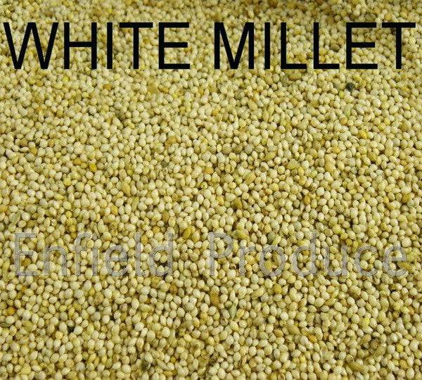 White French Millet Bird Seed - Enfield Produce